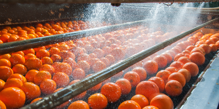 Cleaning Your Food Processing Plant